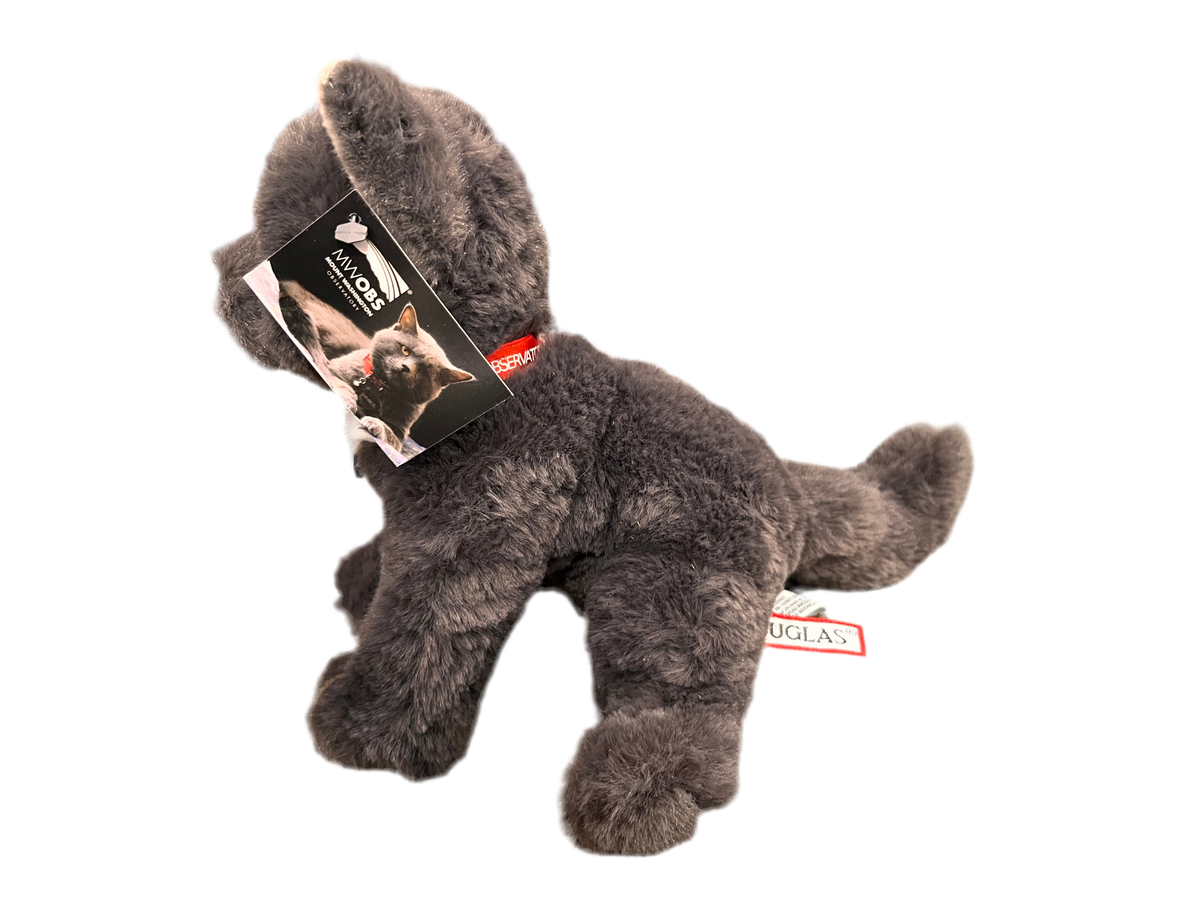 Mini Nimbus Kitty - MWOBS' Mascot – Mount Washington Observatory