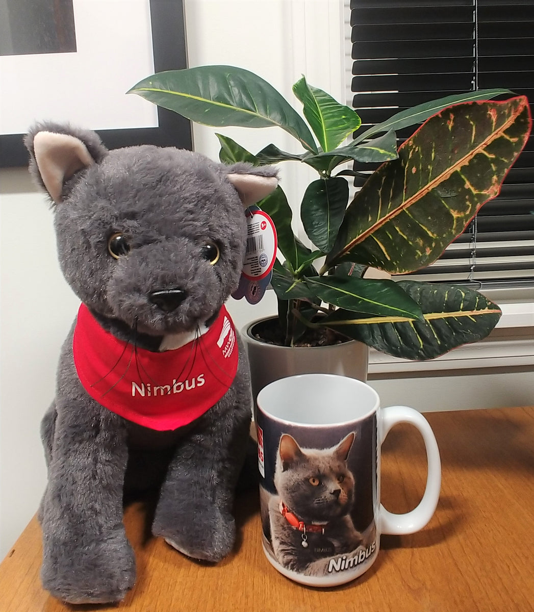 Nimbus Kitty - MWOBS' Mascot – Mount Washington Observatory